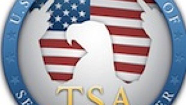 What a TSA Logo Should Look Like | Fast Company | Business + Innovation