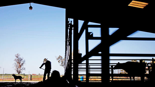 Death Of A Family Farm | Fast Company | Business + Innovation