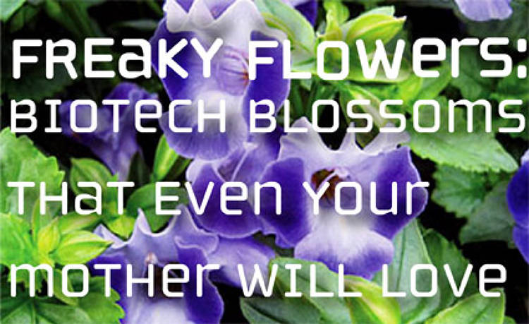 Freaky Flowers: Biotech Blossoms That Even Your Mother Will Love | Fast ...