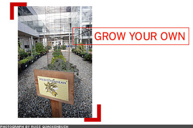 Tour the Googleplex | Fast Company | Business + Innovation