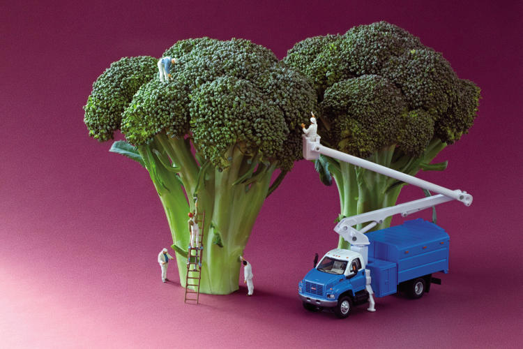 Silicon Valley's Next Big Goal: Fixing Our Broken Food System | Fast ...